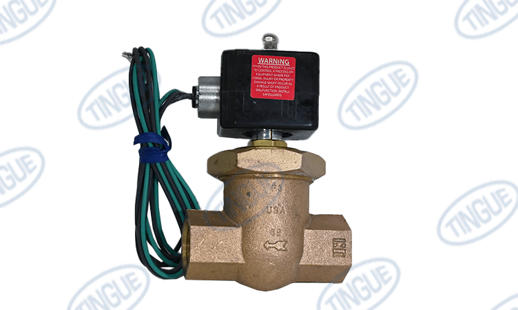 3/4" NC Steam Valve 24V AC | G. A. Braun V02200001 | Tingue