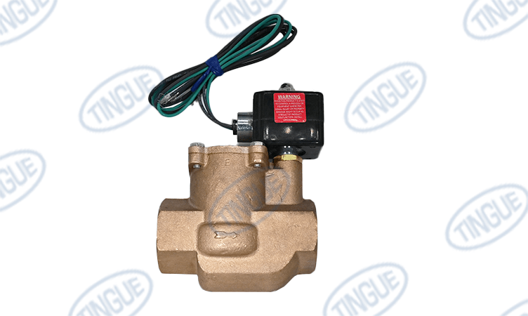 Steam Valve | G. A. Braun V02200002 | Tingue