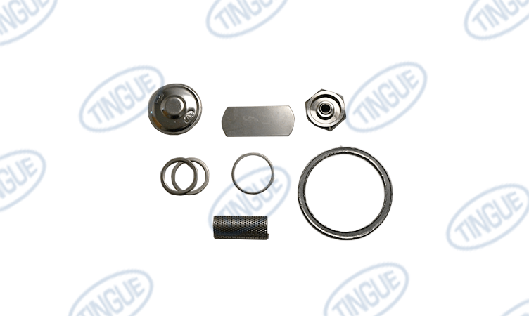 Steam Trap Rebuild Kit 1/2 | Chicago Dryer 3805-550-K
