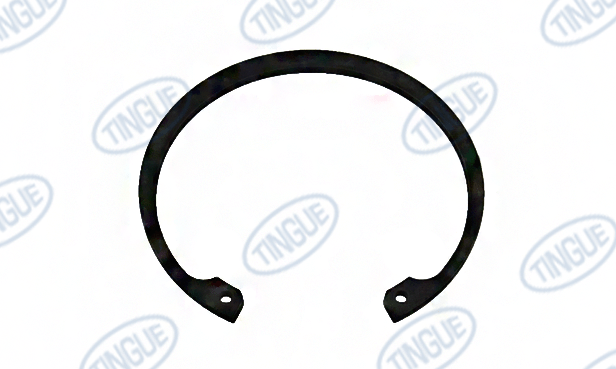 RETAINING RING, SPROCKET CLUSTERS – shop.tingue.com
