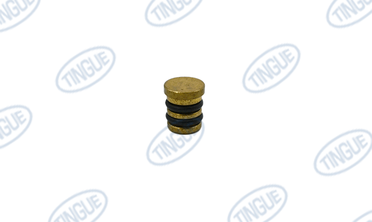 MANIFOLD PORTS PLUG – tingue.com